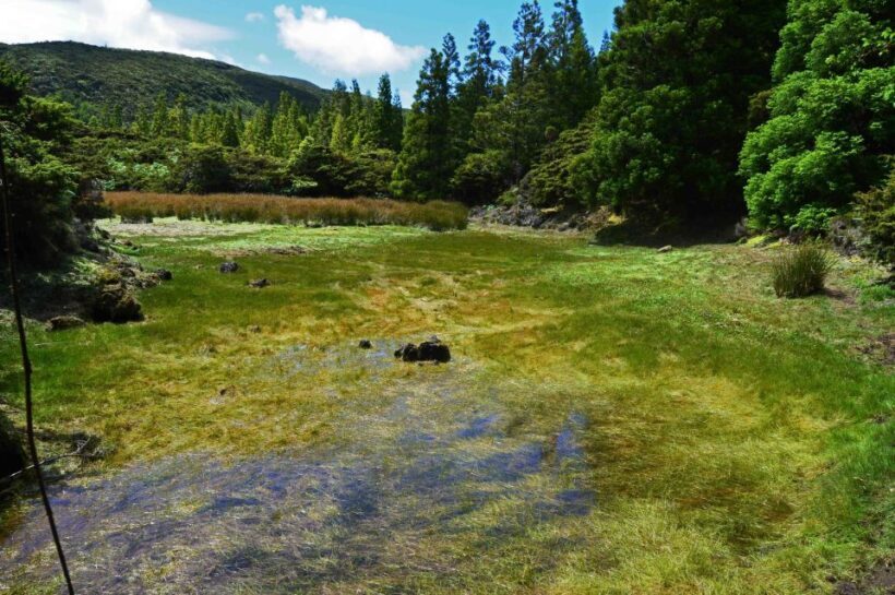 Terceira Island: Mistérios Negros Hiking - Key Points