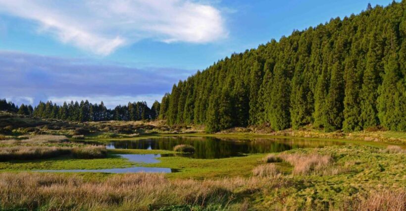 Terceira Island: Mistérios Negros Hiking - Value and Considerations