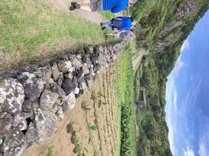 Terceira Island Scenic Hiking Trails Tour (Shared Tour) - The Sum Up