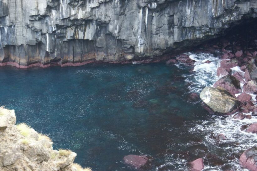 Terceira Island: Walking Trails Hiking Tour - An In-Depth Look at the Terceira Walking Trails Tour