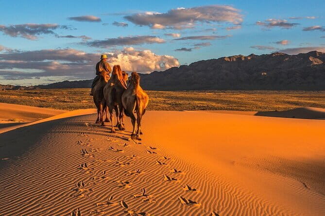 Terelj National Park and Chinggis Khaan Statue Tour - Final Thoughts