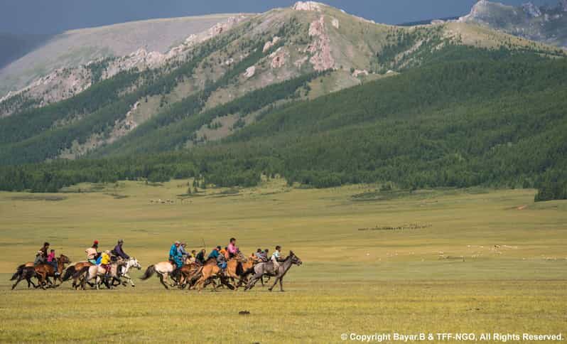 Terelj National Park: Tour with horse riding and hiking - Key Points
