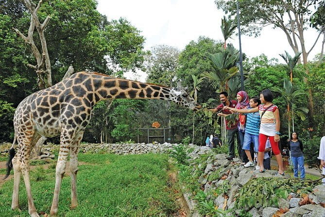 Terengganu Wildlife Kayak Tour - FAQ