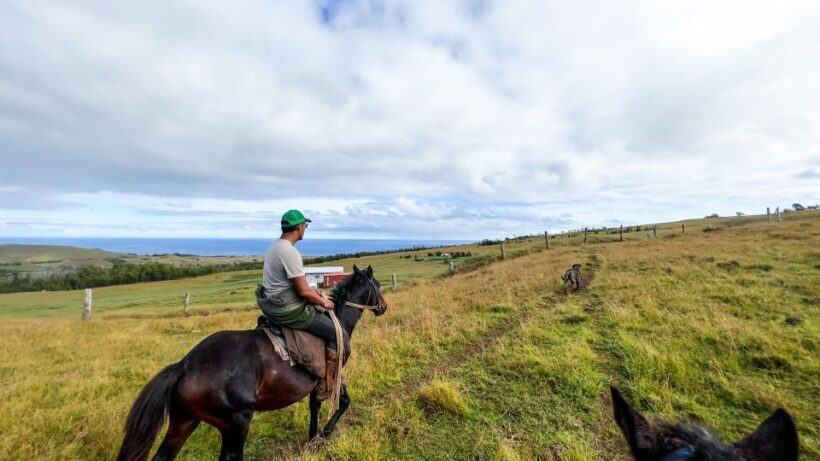 Terevaka Horse Excursion: The highest point and 360° view. - An Overview of the Terevaka Horse Excursion