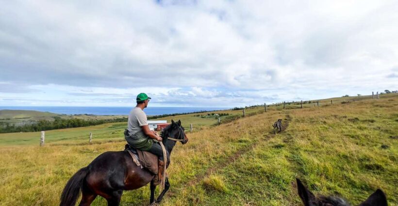 Terevaka Horse Excursion: The highest point and 360° view. - Horses and Guides: Safety, Comfort, and Local Knowledge
