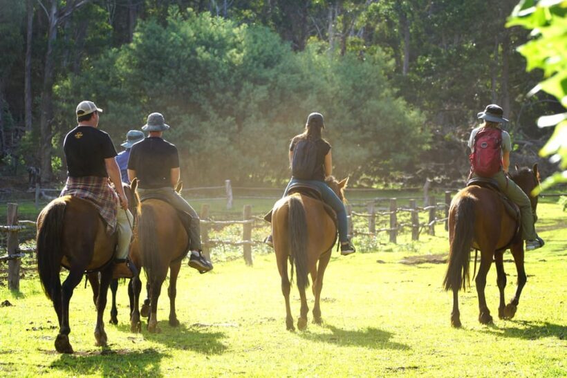 Terevaka Mount: Morning Horseback Riding & Planting Tour - The Sum Up