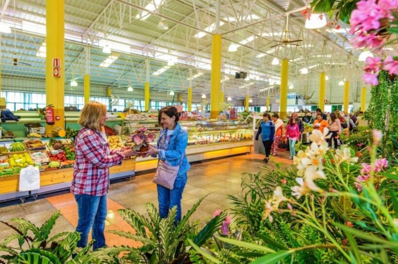 Teror and San Mateo Sunday Market - An Honest Look at the Tour Experience