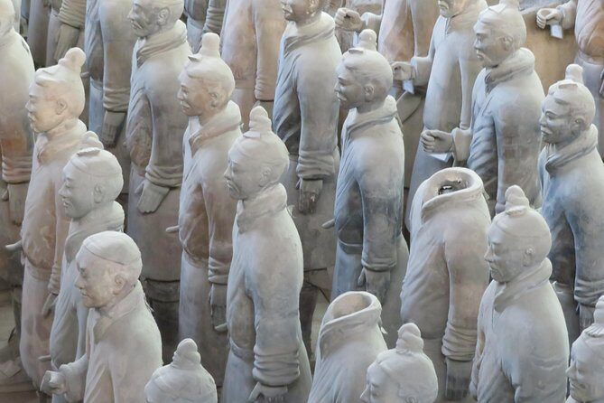 Terra Cotta Army Museum Tour with Noodle / Dumpling Making Class - The Terra Cotta Army: An Unmissable Marvel