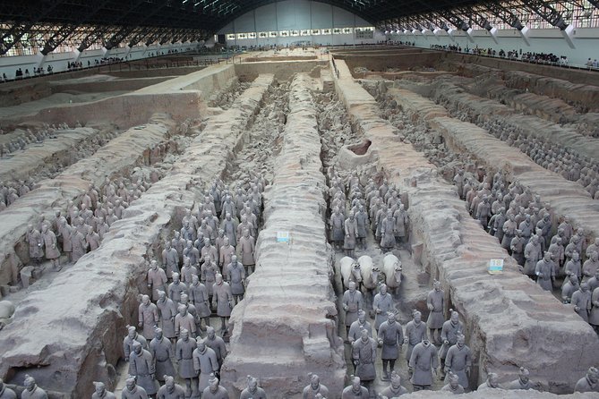Terra-Cotta Warriors & Horses Essential Full Day Tour from Xi'an - Who Will Love This Tour?