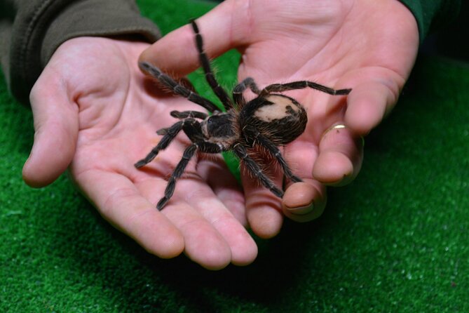 Terra Natura Benidorm Entrance Ticket - Park Highlights and Features