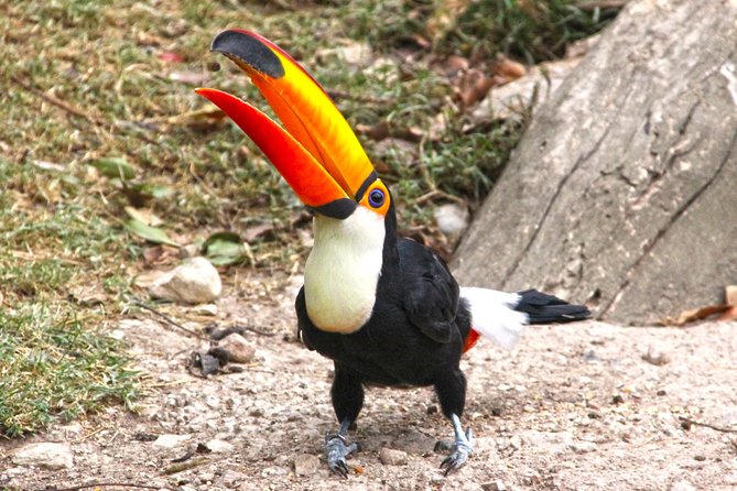 Terra Natura Benidorm Entrance Ticket - Tips for Visiting Terra Natura Benidorm