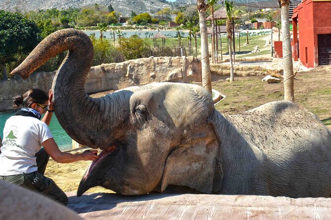 Terra Natura Benidorm Entrance Ticket - Planning Your Day at Terra Natura