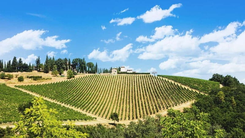 Terricciola Valdera E-Bike Tour + Wine Tasting, Photo Shoot - A Detailed Look at the E-Bike Tour Experience