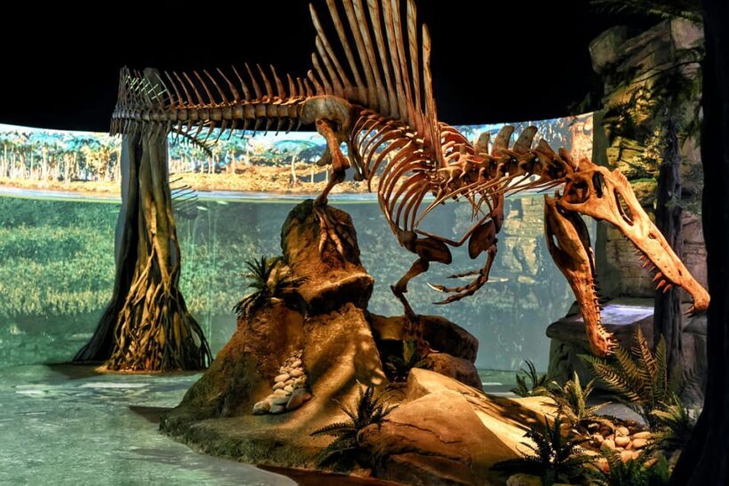 Teruel : Dinopólis Entry ticket - Who Is This Experience Best For?
