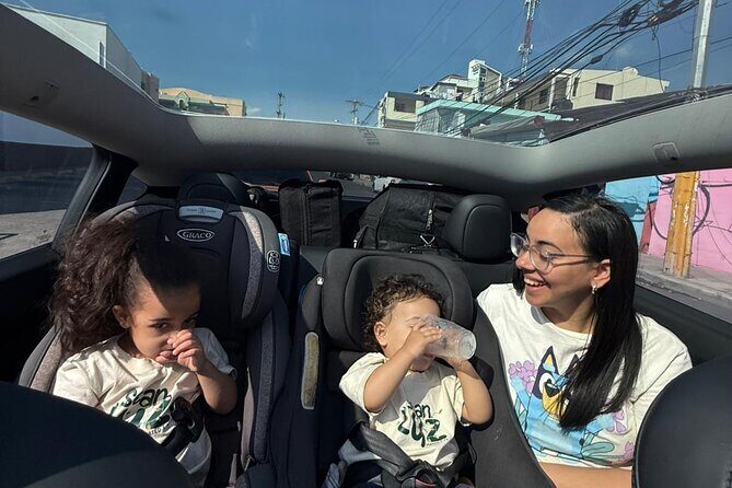 Tesla Transfer from Punta Cana to Santo Domingo - Introduction: Why Consider a Tesla Transfer?