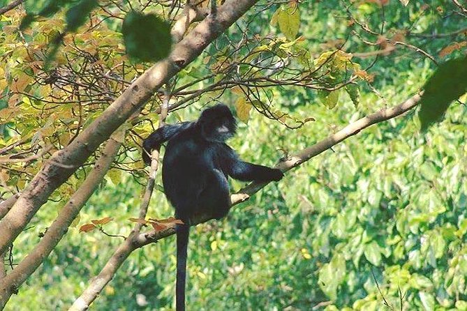 Tete Batu Tour (Temple, Terrace Rice, and Waterfalls) - Who Will Love This Tour?