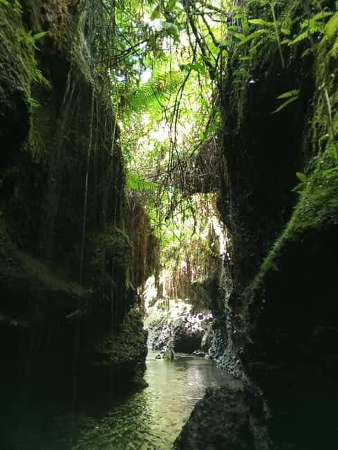 Tetebatu Tour Experience: Ricefield, Waterfall, monkeyforest - Dive into the Details: What to Expect on the Tetebatu Tour