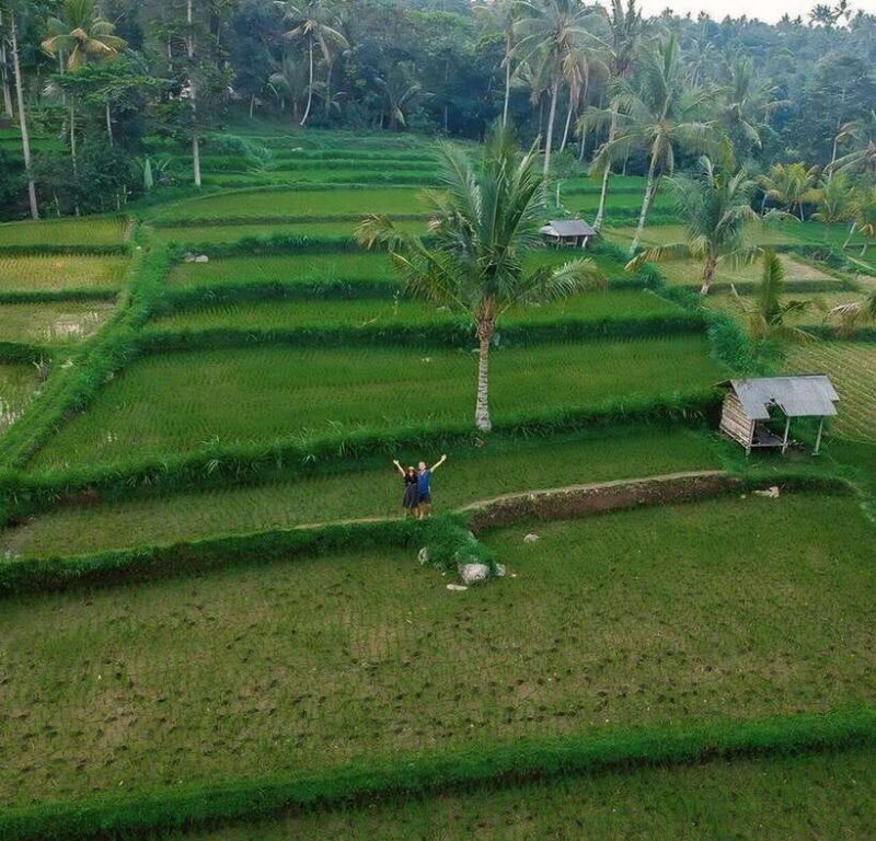 Tetebatu : Walk on Rice Terrace, Waterfall and Black Mongky - Final Thoughts