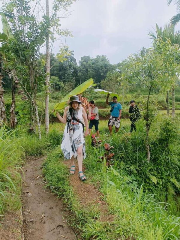 Tetebatu: Waterfalls, Spices, Rice Terrace, Monkey forest - Key Points