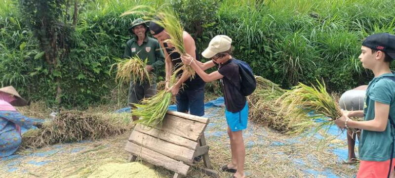 Tetebatu: Waterfalls, Spices, Rice Terrace, Monkey forest - How the Tour Delivers Value