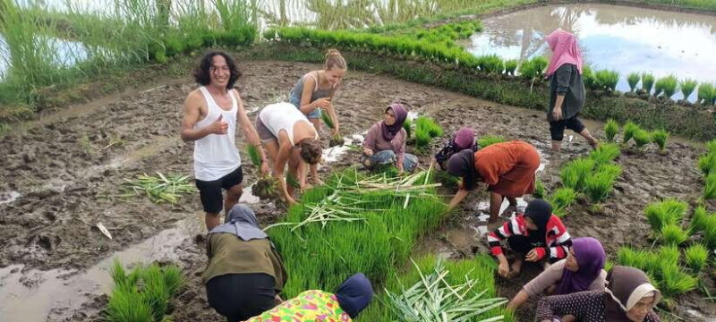 Tetebatu: Waterfalls, Spices, Rice Terrace, Monkey forest - Who Should Consider This Tour?