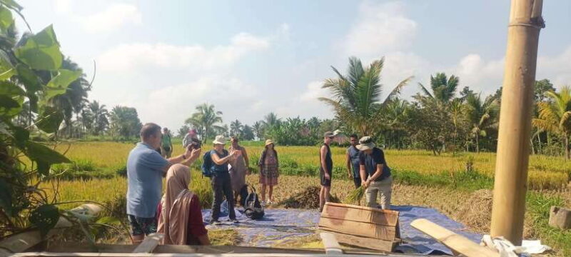 Tetebatu: Waterfalls, Spices, Rice Terrace, Monkey forest - The Sum Up