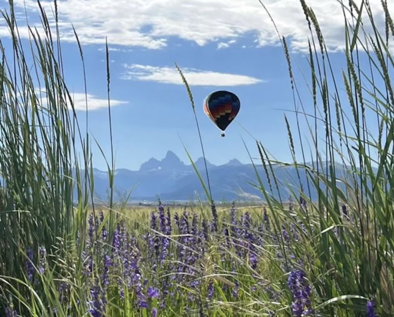 Teton Valley Balloon Flight - Authentic Reviews and What Travelers Say