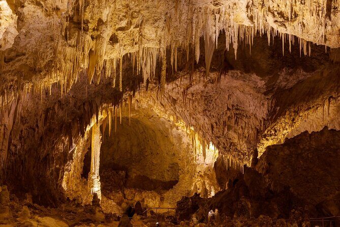 Texas and New Mexico Bundle 4 day Self Guided National Park Tours - The Sum Up