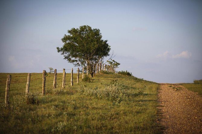 Texas Hill Country Group Wine Tour by Limousine - An Honest Look at the Texas Hill Country Group Wine Tour by Limousine