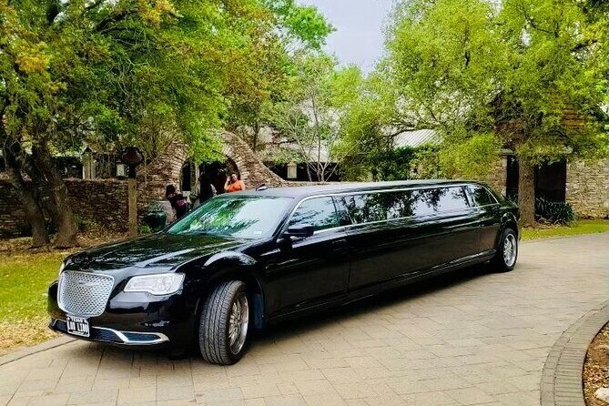 Texas Hill Country Group Wine Tour by Limousine - The Overview: A Taste of Texas in Style