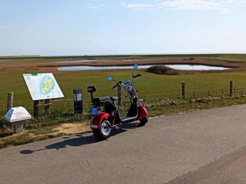 Texel: E-Scooter Rental - The Practicalities and Value