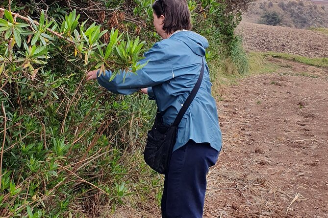 Textile and Dyeing Experience - Recommendations and Additional Information