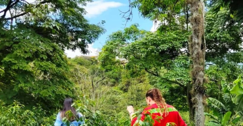 Th art of Coffee in Medellin, Colombia. - FAQ