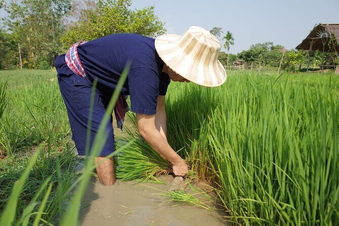 Thailand Experiences and Adventures (9 days) - Who Will Love This Tour?