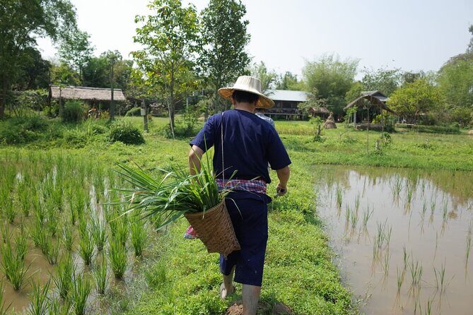 Thailand Experiences and Adventures (9 days) - FAQ