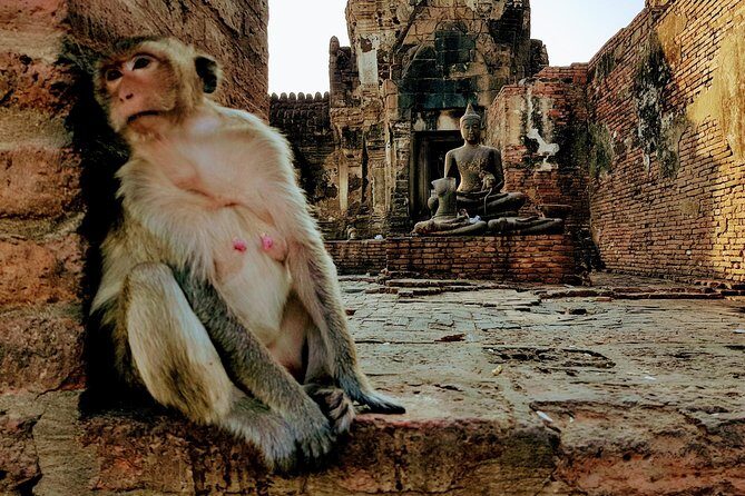 Thailand's Tour: Kanchanaburi, River Kwai, Markets, Lopburi, Ayutthaya - 3 Days - FAQ