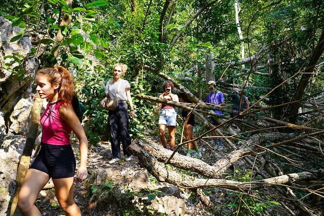 Tham Phay cave expedition & Jungle trekking 4 days 3 nights - The Sum Up