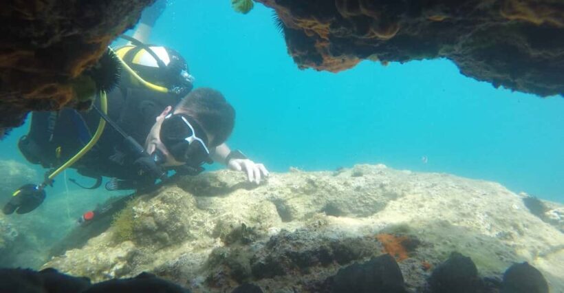 Thasos: Introductory Scuba Diving Expereince - Practical Tips for Making the Most of the Tour