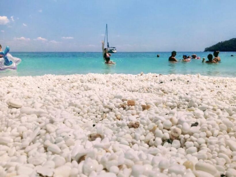 Thassos Island: Sailing Day Cruise Beer & Snack - Key Points