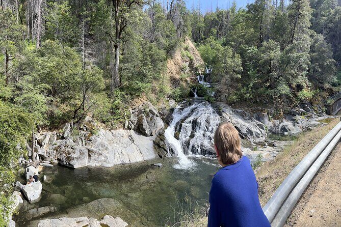 That Dam Tour Explore California's Engineering Marvels - Summary: Who Should Consider This Tour?