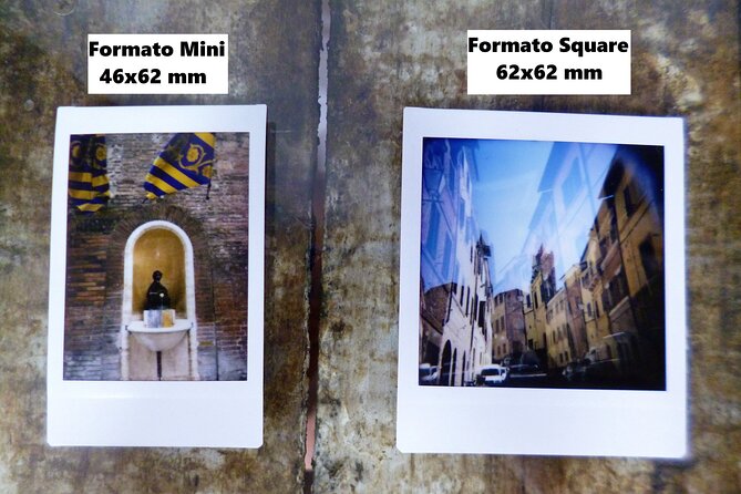 The 17 Fantastic Animals of Siena - Meeting and End Points