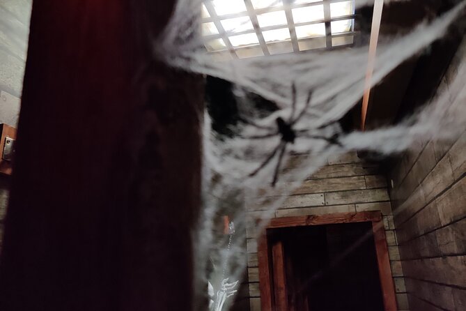 The 7 Seas - Epic Escape Game in Carvoeiro - What to Expect