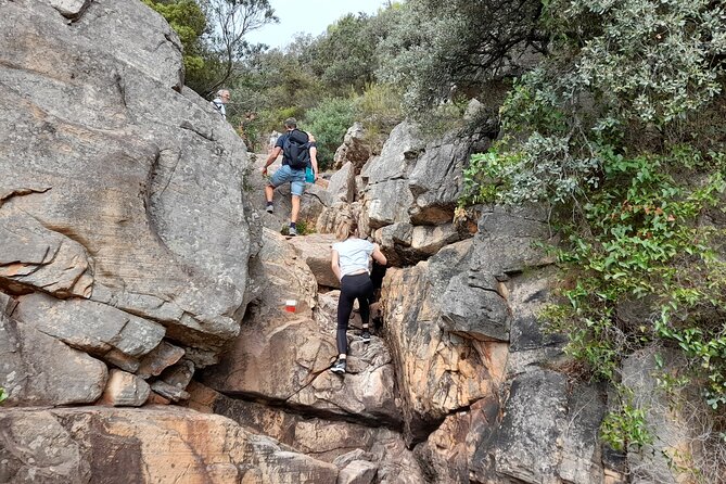 The Adventurous Route to Mirador del Garbí - Analyzing the Value and Practicalities