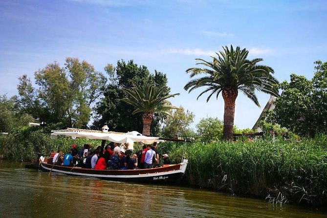 The Albufera Natural Park Private Tour from Valencia with transport - An In-Depth Look at the Albufera Natural Park Private Tour