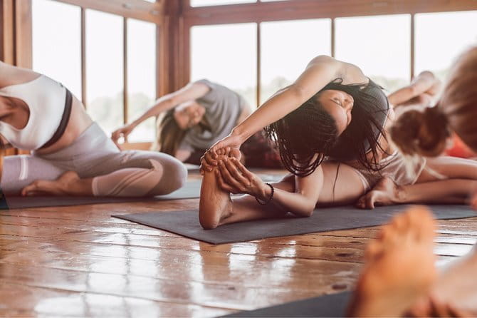 The Alchemist, Healing Meditation Yoga Retreat, Kerala , India - Key Points