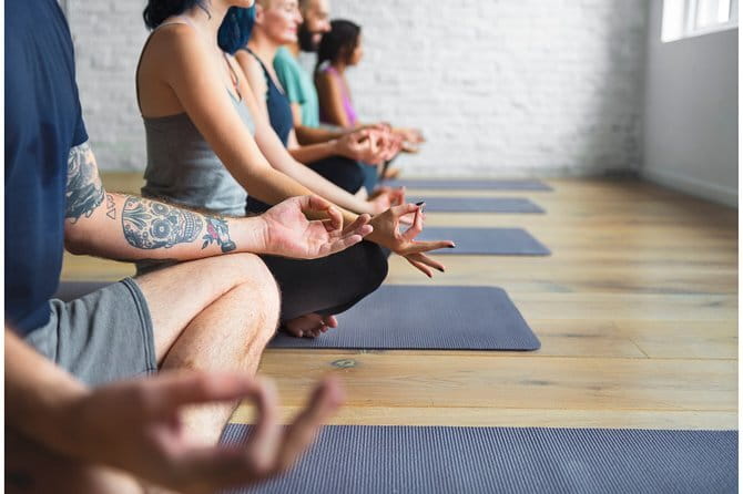 The Alchemist, Healing Meditation Yoga Retreat, Kerala , India - The Setting: Kerala’s Backwaters and Natural Beauty