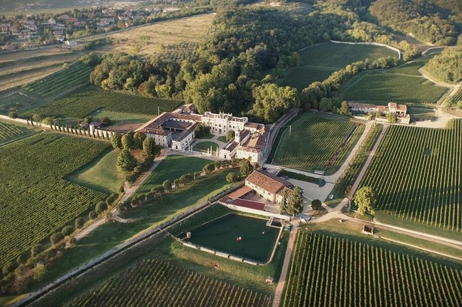The Amarone Chateau Guided Tour and Tasting in Valpolicella - Wine Tasting Experience