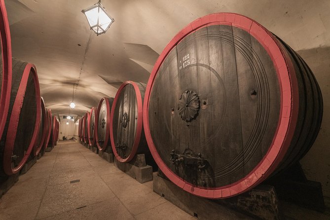 The Amarone Chateau Guided Tour and Tasting in Valpolicella - Accessibility and Participation