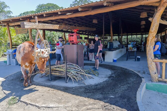 The Amazing Mega Combo Adventure(water Slide,Zipline,Hot Springs) - Thermal Pools