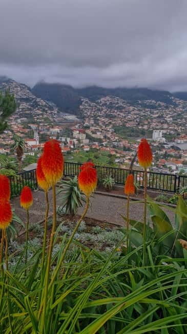 THE AMAZING OFF ROAD BBQ PICNIC CABLE CAB TOUR - Key Points